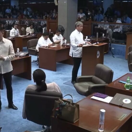 Negros Power | Service Beyond Power