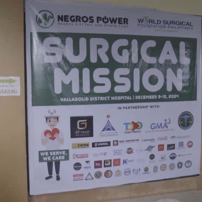 Negros Power | Service Beyond Power