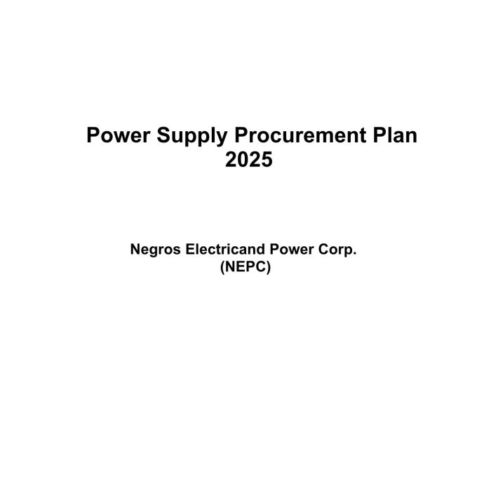 Negros Power | Service Beyond Power